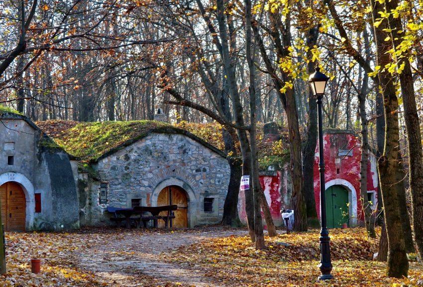 Lovaglás és íjászat szakkör | Páty község